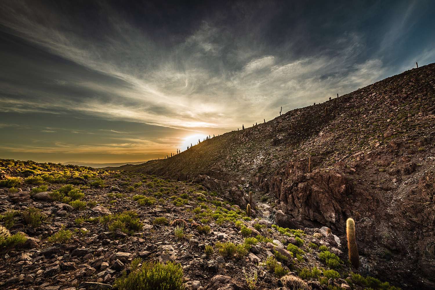 Portfolio – GM 360°